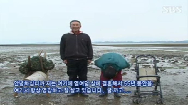 모닝와이드 3부 : [다시보기] 모닝와이드 3부 3164회 : SBS