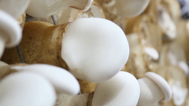 모닝와이드 3부 : [다시보기] 모닝와이드 3부 6669회 : SBS