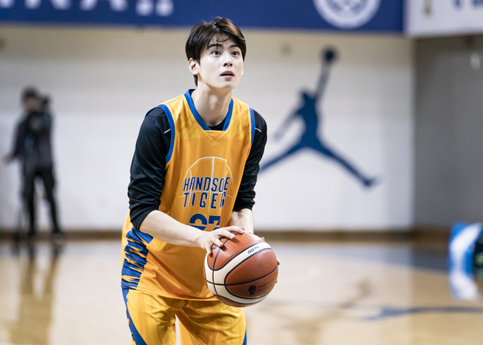 SBS Contents Hub : Handsome Tigers : SBS