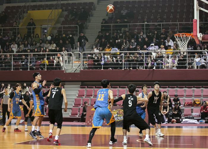 SBS Contents Hub : Handsome Tigers : SBS