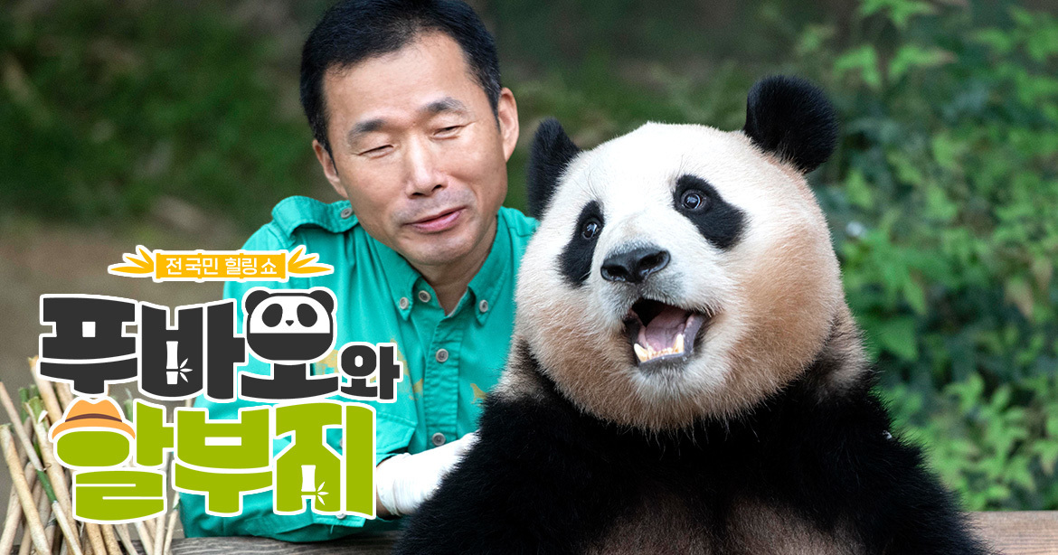 푸바오와 할부지 Sbs 