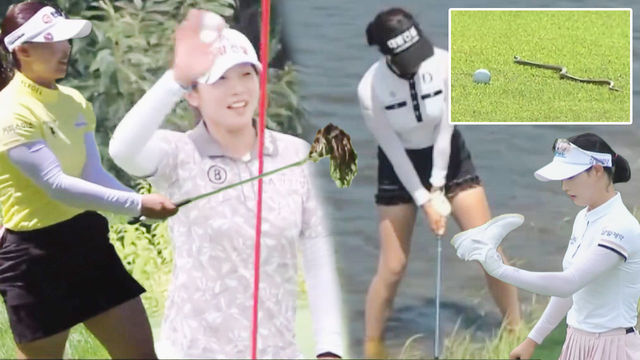 2022 KLPGA 투어 : 한눈에 보는 2022 KLPGA 드라마 현장 : SBS Golf