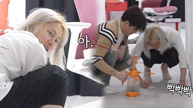 미운 우리 새끼 : ‘파더 희레사’ 김희철, 신동 강아지 남매 대변에 당황 : SBS